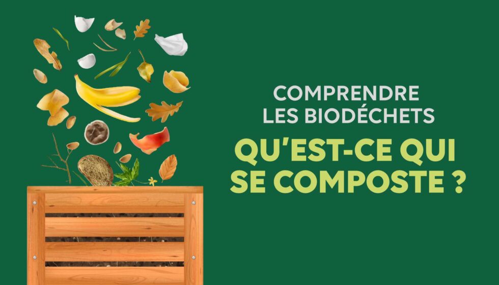 Les secrets d’un compost réussi : l’équilibre brun/vert - ValOrizon ...